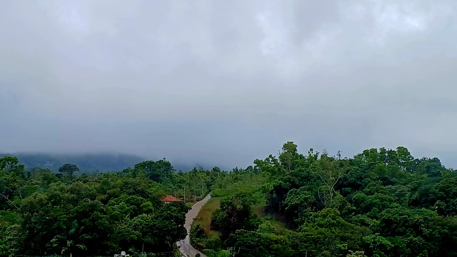 🌳 Discover Paradise in Coorg - Opportunity to invest in Coorg right ...