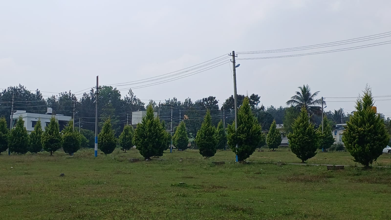 Coorg Properties - Bohemian Realtors